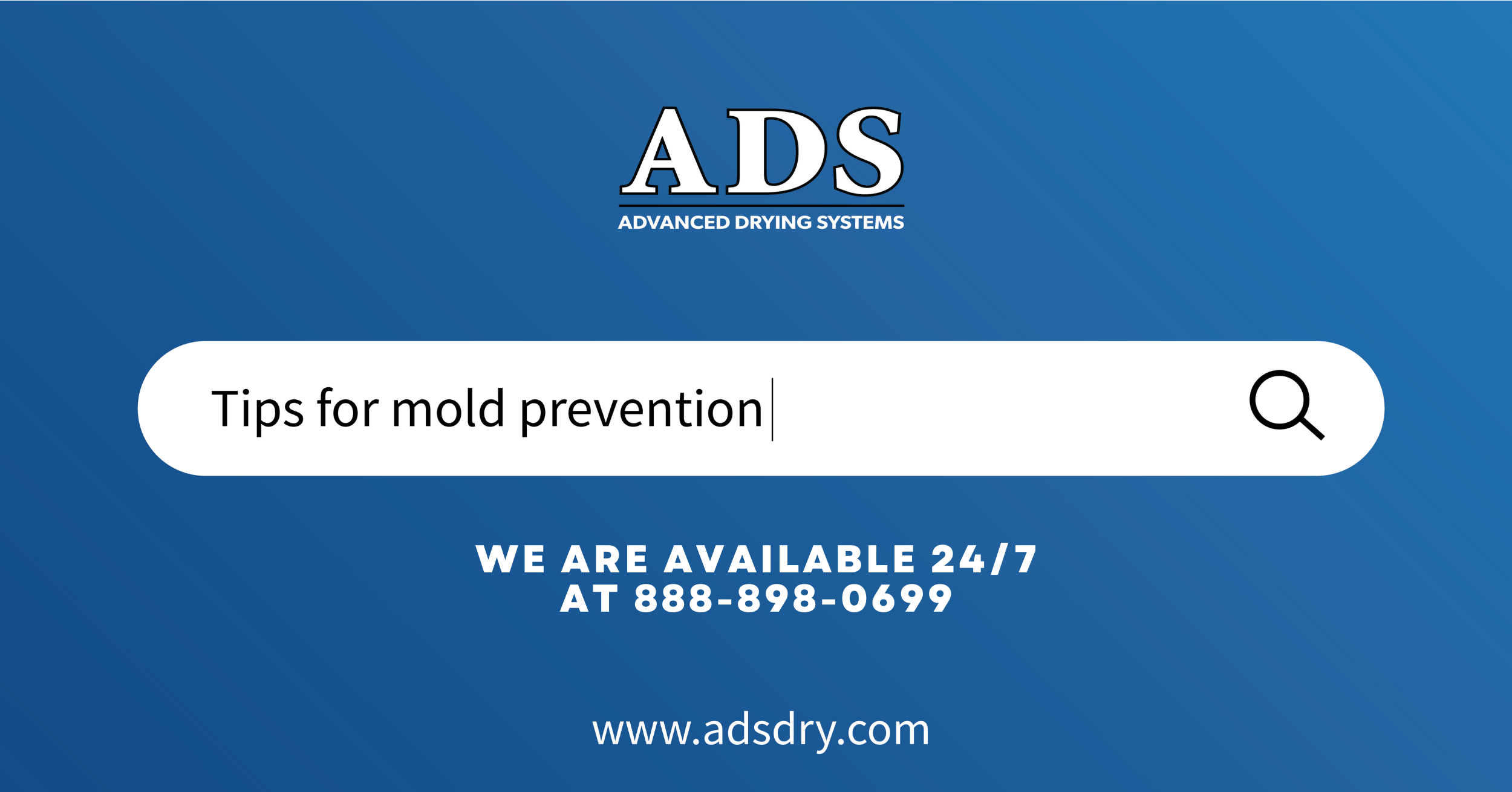 Mold Prevention Strategies - Advanced Drying Systems